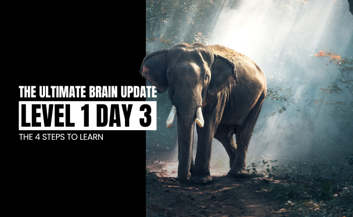 Level 1 Day 3 - The 4 Steps To Learn - The Brainer Academy