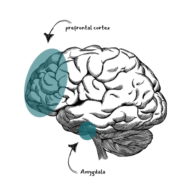 Why Gossiping Is Bad for Your Brain - The Brainer Academy